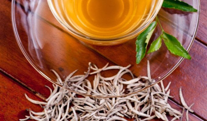 Types of White Tea – Halpe Tea – Blog