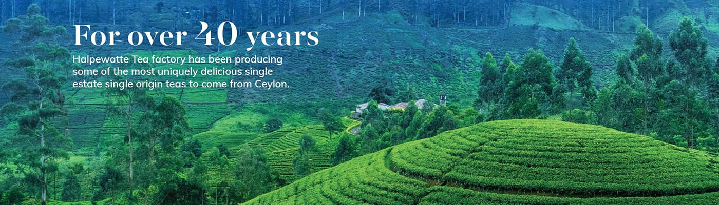 Grading of Ceylon Tea – Halpe Tea – Blog