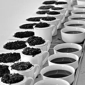 Pure Ceylon Tea & Ceylon Black Tea | Halpe Tea Official Site
