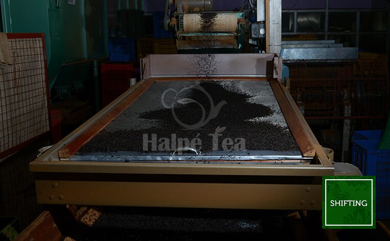 Media Gallery | Images and Videos of Halpe Tea Sri Lanka