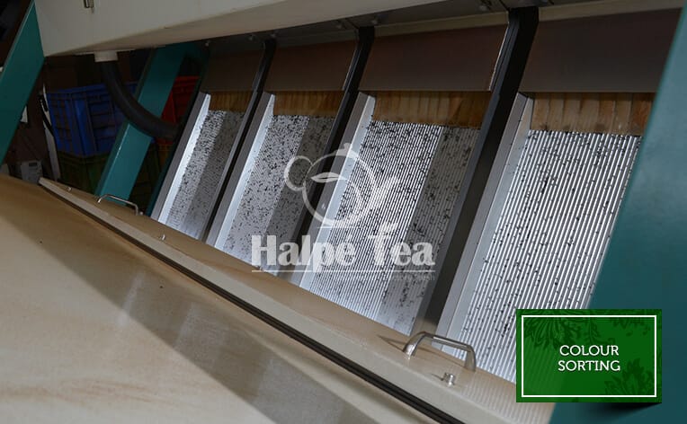 Media Gallery | Images and Videos of Halpe Tea Sri Lanka
