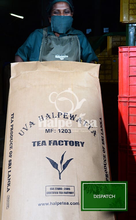 Media Gallery | Images and Videos of Halpe Tea Sri Lanka