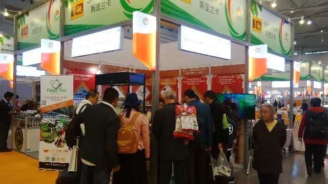 Media Gallery | Images and Videos of Halpe Tea Sri Lanka