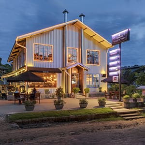 Pure Ceylon Tea & Ceylon Black Tea | Halpe Tea Official Site